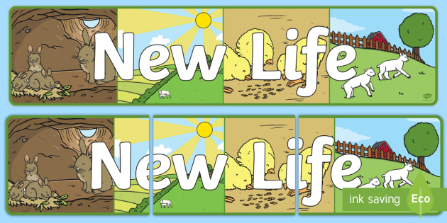 👉 New Life Display Banner