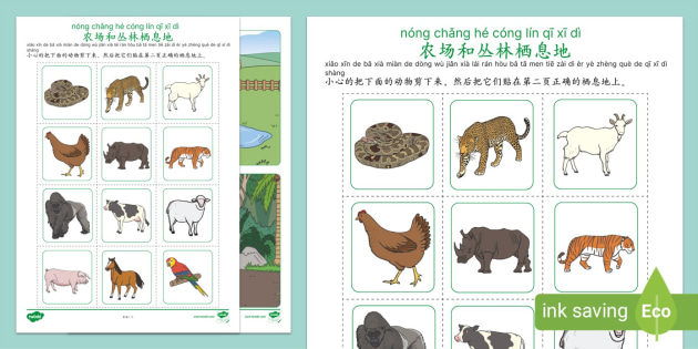 * Chinese with Pinyin Farm and Jungle Habitats Activity*