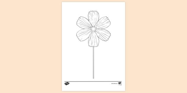 FREE! - Symmetrical Flower Colouring Sheet | Colouring Sheets