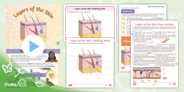 Skin Diagram For Kids How To Protect Your Skin From Cold Weather