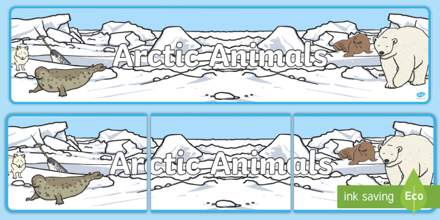 Arctic Animals Display Banner - (teacher made)
