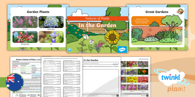 Year 1 Science Features of Plants Lesson 3 In the Garden