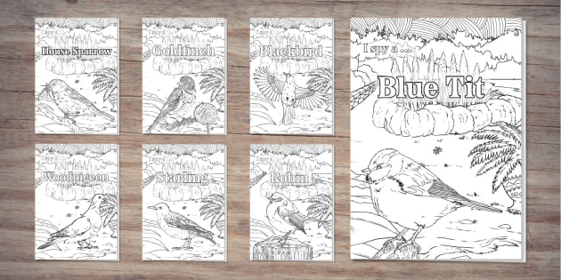 * NEW * British Garden Birds Colouring Card Set | Twinkl Party