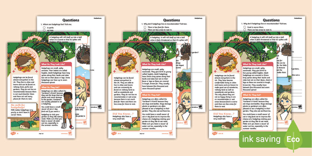 KS1 Hedgehogs Differentiated Reading Comprehension Activity