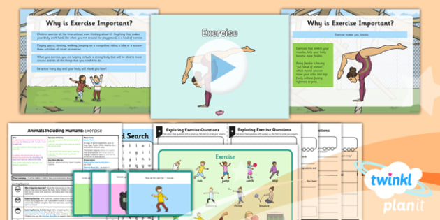 Science: Animals Including Humans: Exercise Year 2 Lesson Pack 5