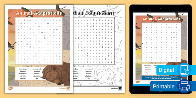 Animal Adaptations Worksheets 5th Grade