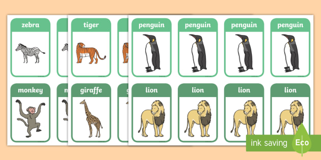 Zoo Vocabulary Snap Cards (teacher made)