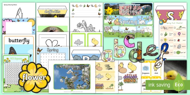 Spring Display Pack (teacher made)