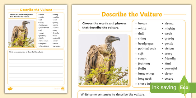 * NEW * Describe the Vulture Writing Activity (teacher made)