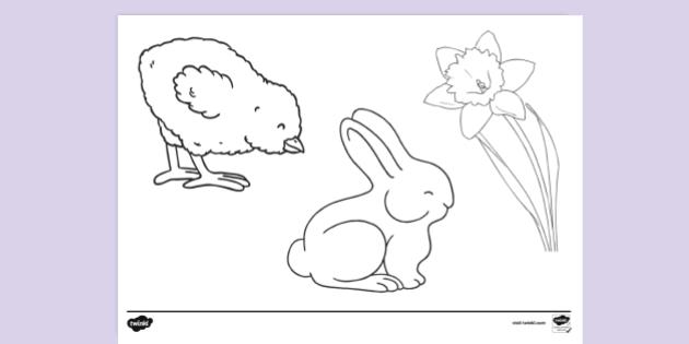 Spring for toddlers | Colouring Sheets (teacher made)