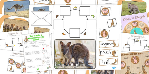 Kangaroo Life Cycle Lapbook Creation Pack