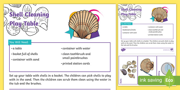 Shell Cleaning Play Table Display Labels (teacher made)