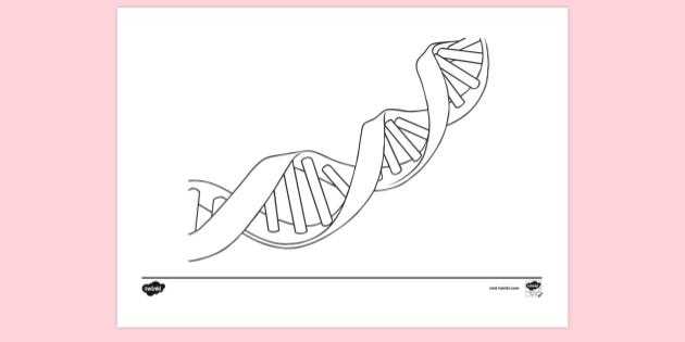FREE! - Gene Colouring | Colouring Sheets (teacher made)