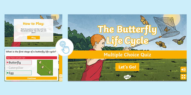 Butterfly Life Cycle Quiz (teacher made)