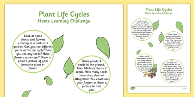 EYFS Plant Life Cycles Home Learning Challenge Sheet Nursery FS1