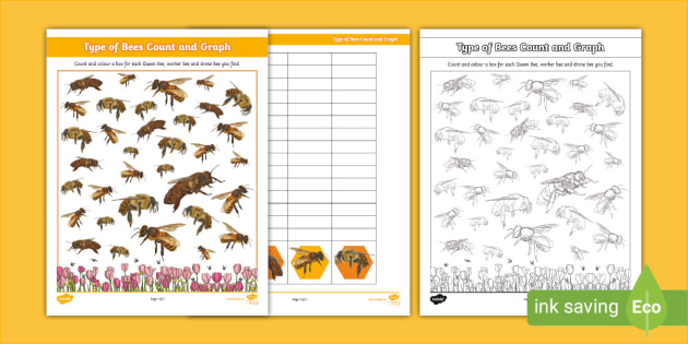 Bee Intermediate Count and Graph Worksheet (Teacher-Made)