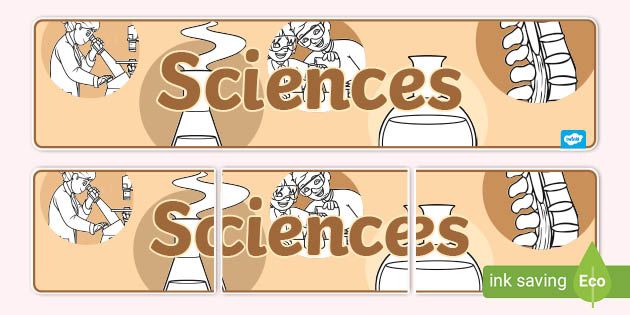 Neutral Coloured Sciences Display Banner (teacher made)
