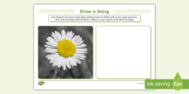 Draw a Daisy (creat de profesori)