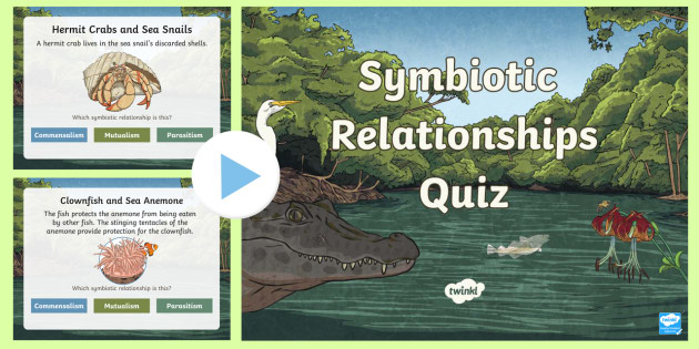 Symbiotic Relationships Quiz PowerPoint (teacher made)