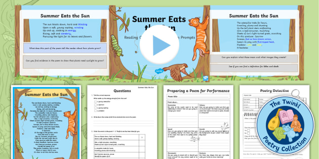 'Summer Eats the Sun' – Food Chains Free Verse Poem for KS2
