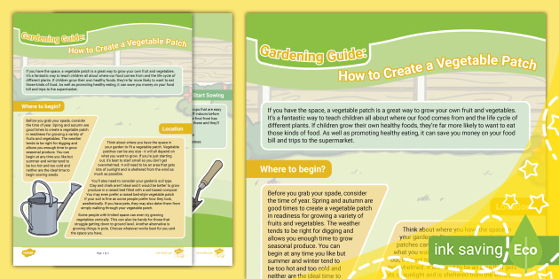 Gardening Guide: How to Create a Vegetable Patch