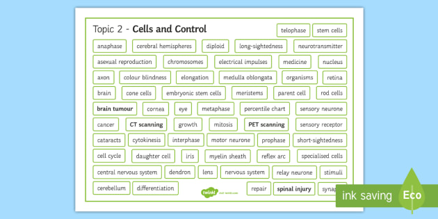 Edexcel Biology Cells and Control Word Mat (teacher made)
