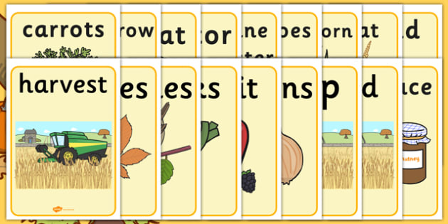 Harvest Display Posters (teacher made)