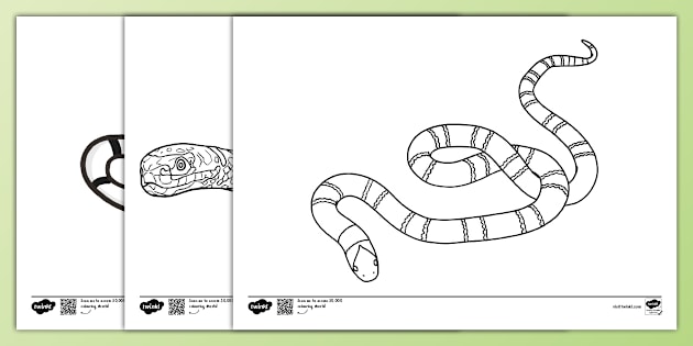 snakes colouring pictures