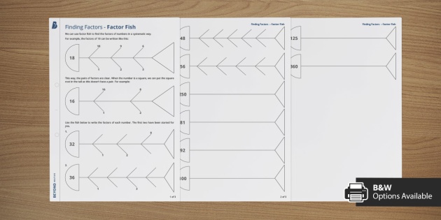 👉 Finding Factors - Factor Fish