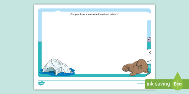 FREE! - Walrus Drawing Prompt (teacher made)