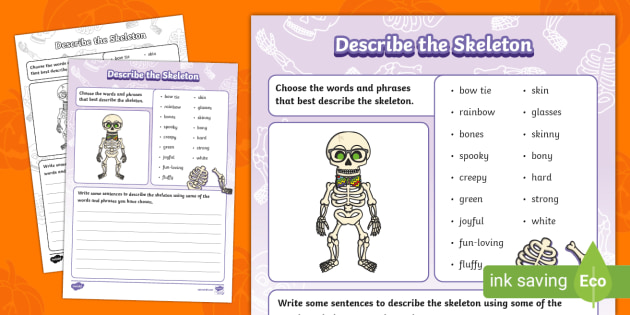 Human Skeletons | twinkl.co.uk