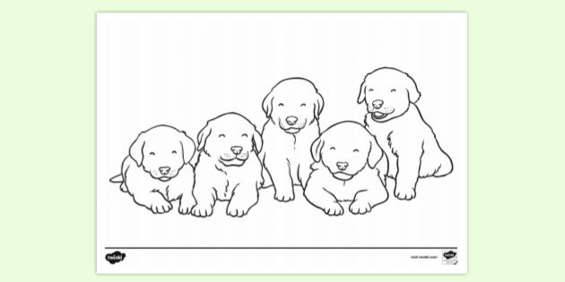 FREE! - 5 Puppies Colouring | Colouring Sheets