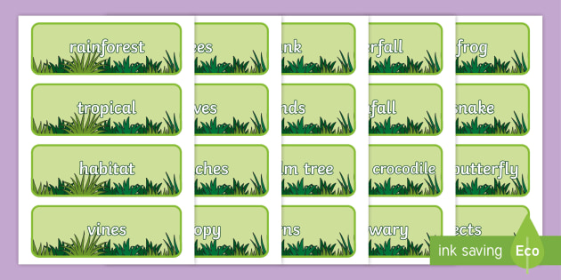 Australian Rainforest Vocabulary Word Cards (teacher made)