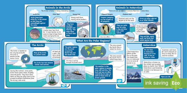 Kindergarten All About Polar Regions Fact Files