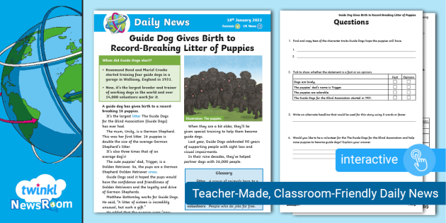 Daily NewsRoom Story - Guide Dog Has 16 Puppies (ages 7-9)