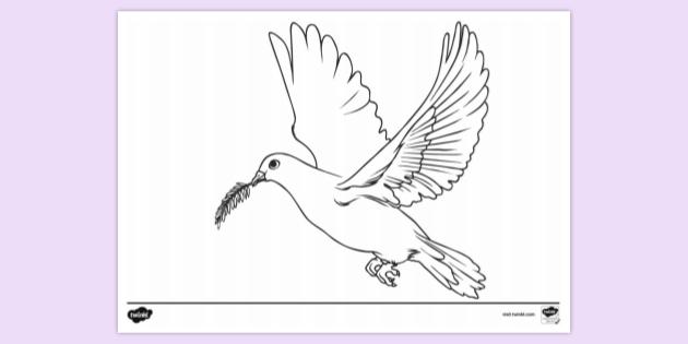 FREE! - Confirmation Dove Olive Branch Colouring Sheet