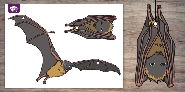 Halloween Bat Printable | Twinkl Party (teacher made)