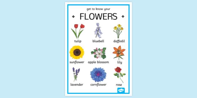 FREE! - Floral Poster Printable Resource | Twinkl Resources