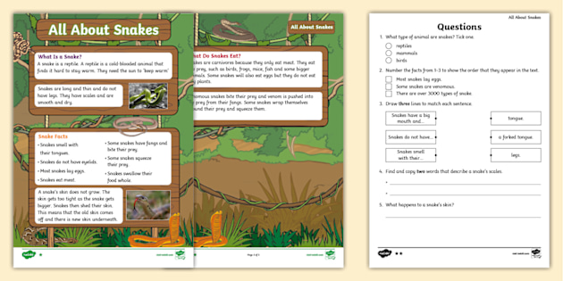 Snakes Reading Comprehensions | twinkl.com.au