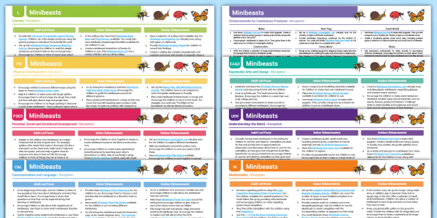 EYFS Minibeasts Activity Planning and Continuous Provision Ideas ...
