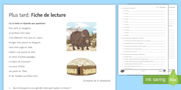 Later Reading Comprehension French (teacher made)