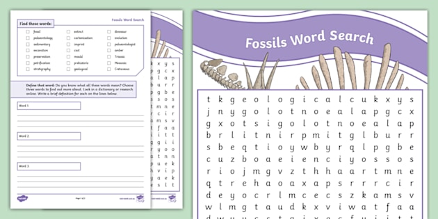 Types Of Fossils Worksheet Word Search By Science Spot Tpt