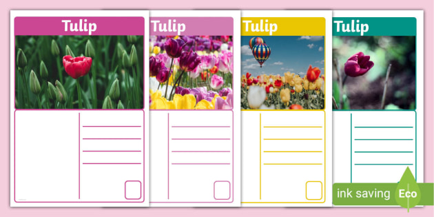 FREE! - Tulip Themed Postcards (teacher made)
