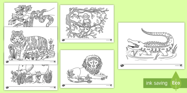 Jungle Animals Coloring Pages for Kids | Mindful Activities