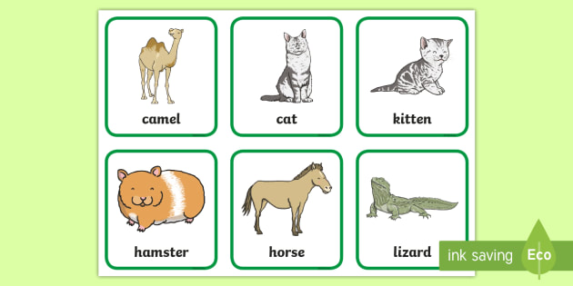 Pets Matching Cards (teacher made)