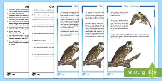 Falcon Differentiated Reading Comprehension Activity - Science: Living ...
