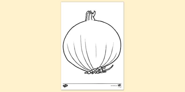 FREE! - Onion Colouring Page - Primary Resources