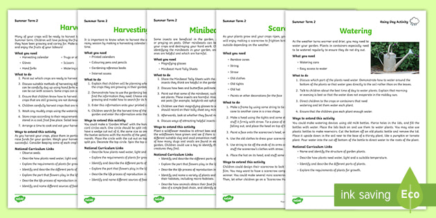 Gardening Club Summer 2 Activity Pack (teacher made)