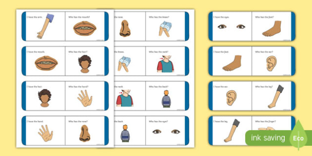 Parts of the Body Loop Cards (teacher made)