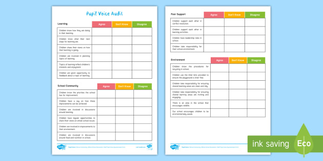 Pupil Voice Staff Questionnaire Form (teacher made)